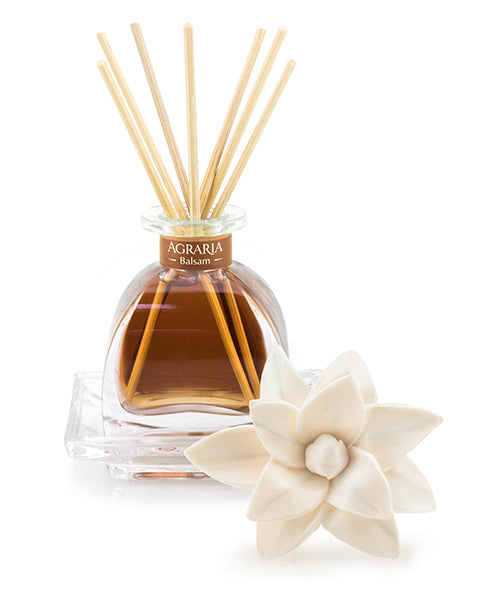 PetiteEssence Collection | Agraria San Francisco