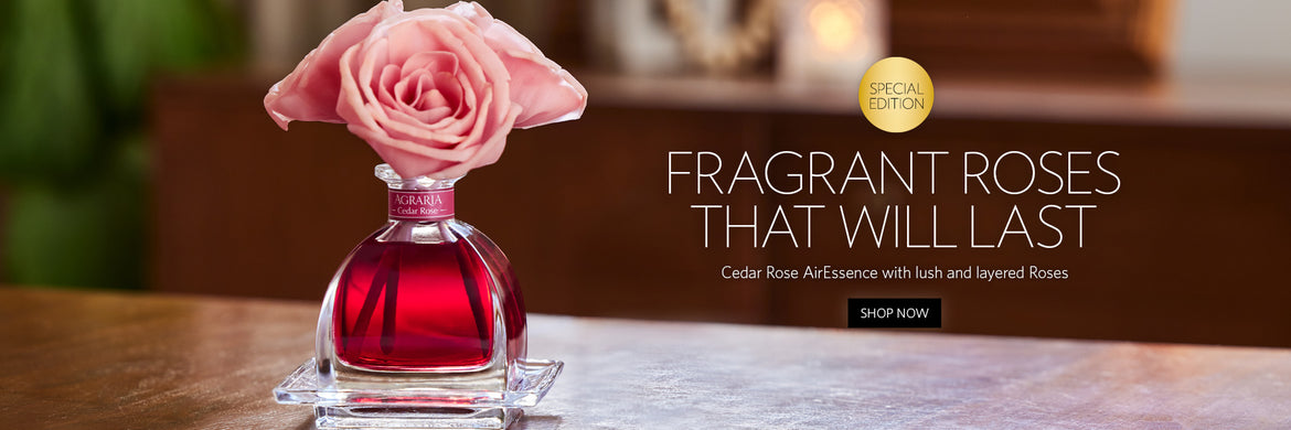 Premium Home Fragrance and Bath Products – Agraria San Francisco