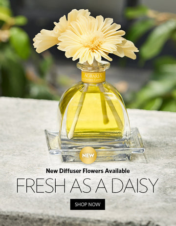 Premium Home Fragrance and Bath Products – Agraria San Francisco