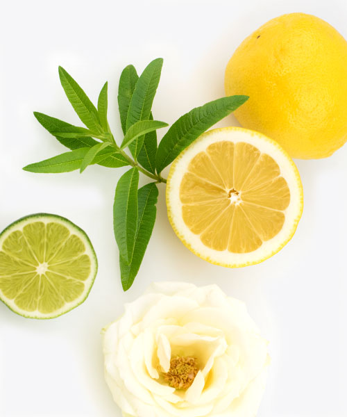 A+ | Comfrey + Kelp Shampoo – Agraria San Francisco