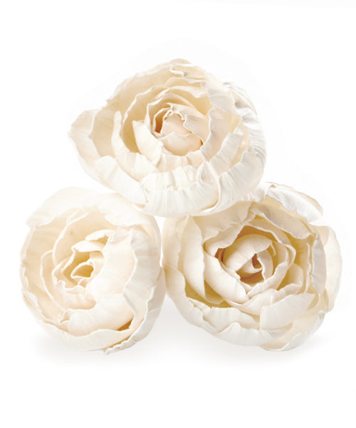 Diffuser Flowers | Agraria San Francisco