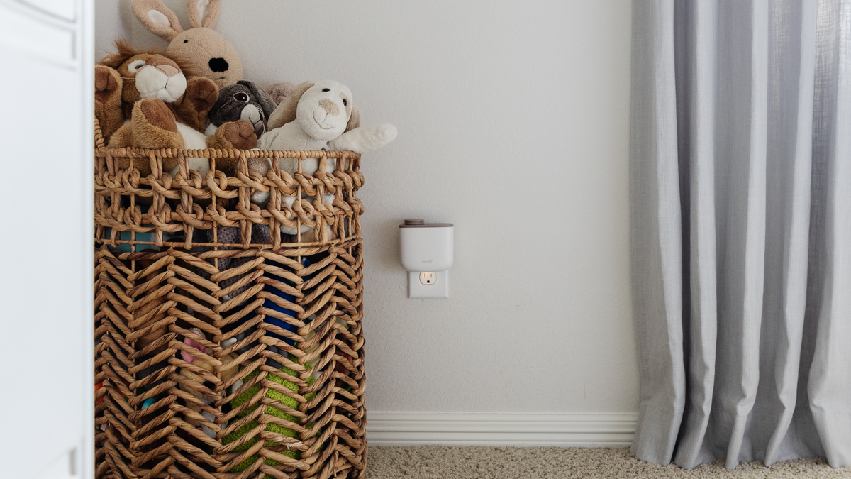 Aera Mini Diffuser – Agraria San Francisco